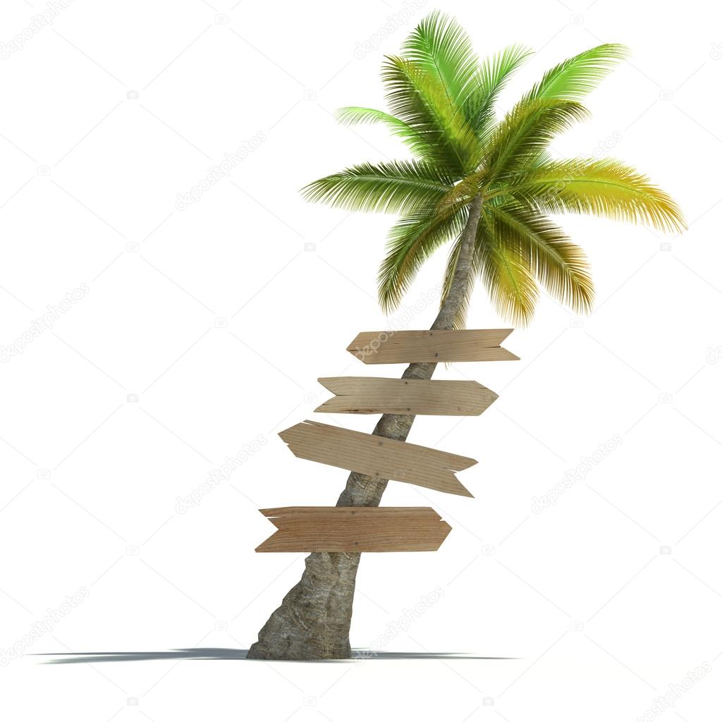 Palm tree with signboards Stock Photo by ©franckito 65897315