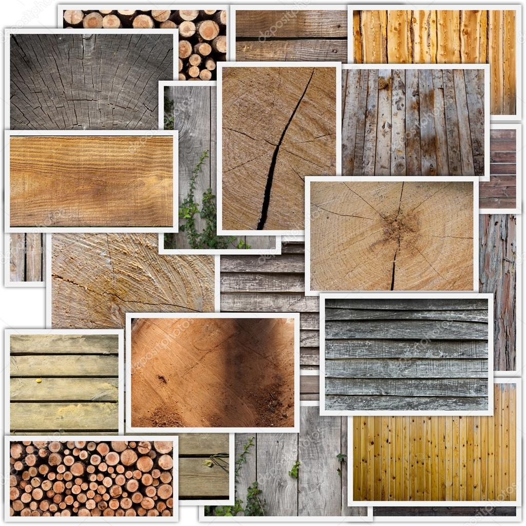 Wood collection — Stock Photo © franckito #65910727
