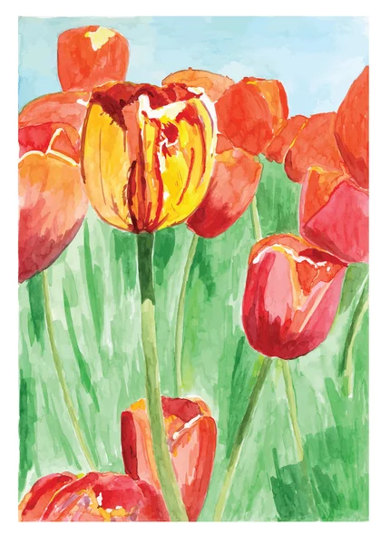 Tulipán rajz Stock vektorok, Tulipán rajz Jogdíjmentes illusztrációk ...