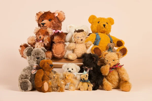 Many bears Stock Photos, Royalty Free Many bears Images | Depositphotos