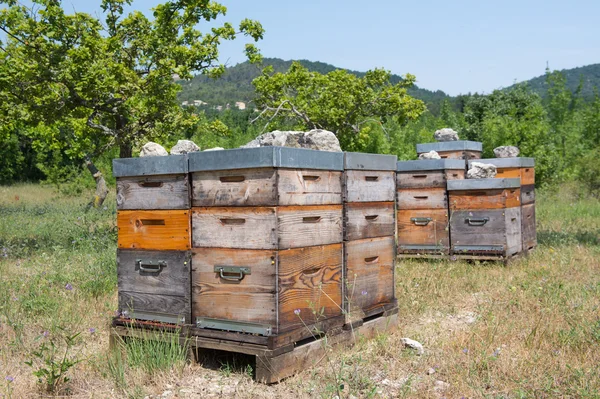 Romania bee hives Stock Photos, Royalty Free Romania bee hives Images ...