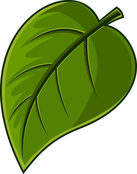 Cartoon green leaf Vector Art Stock Images | Depositphotos