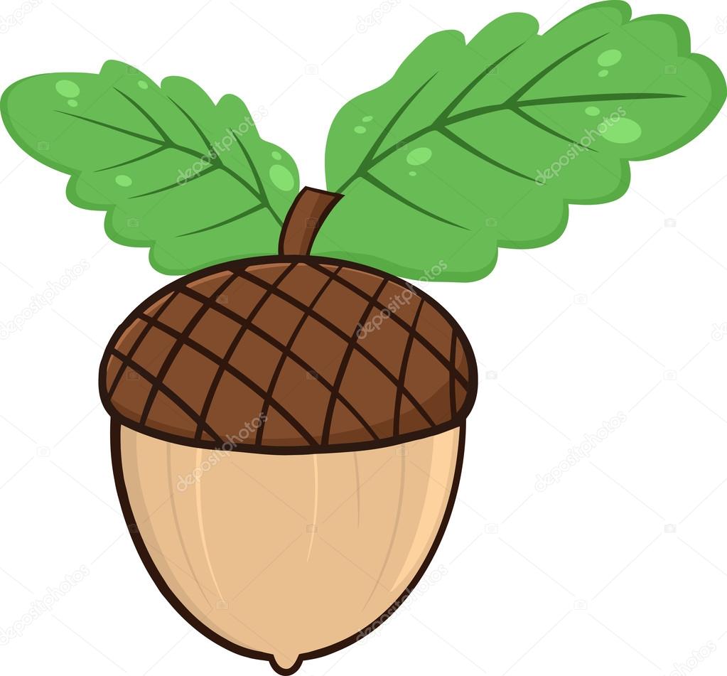 Bellota con ilustraciones de dibujos animados de hojas de roble ...