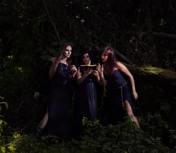 Three witches Pictures, Three witches Stock Photos & Images ...