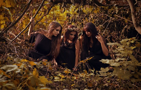 Three witches Pictures, Three witches Stock Photos & Images ...