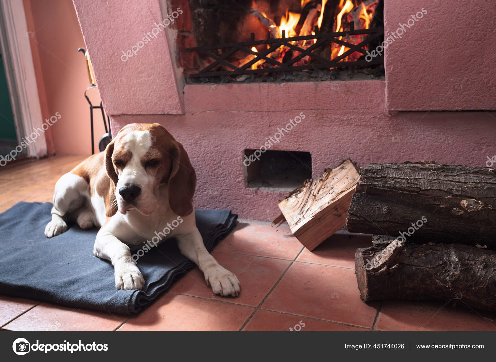 Tired Beagle Has Rest Fireplace Stock Photo by ©igorr1 451744026