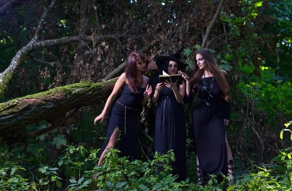 Three witches in forest Stock Photo by ©igorr1 87554584