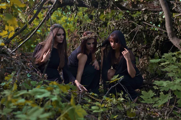 Three witches in forest Stock Photo by ©igorr1 87554584