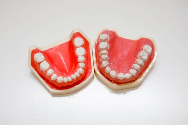 Dents animales Stock Photos, Royalty Free Dents animales Images ...