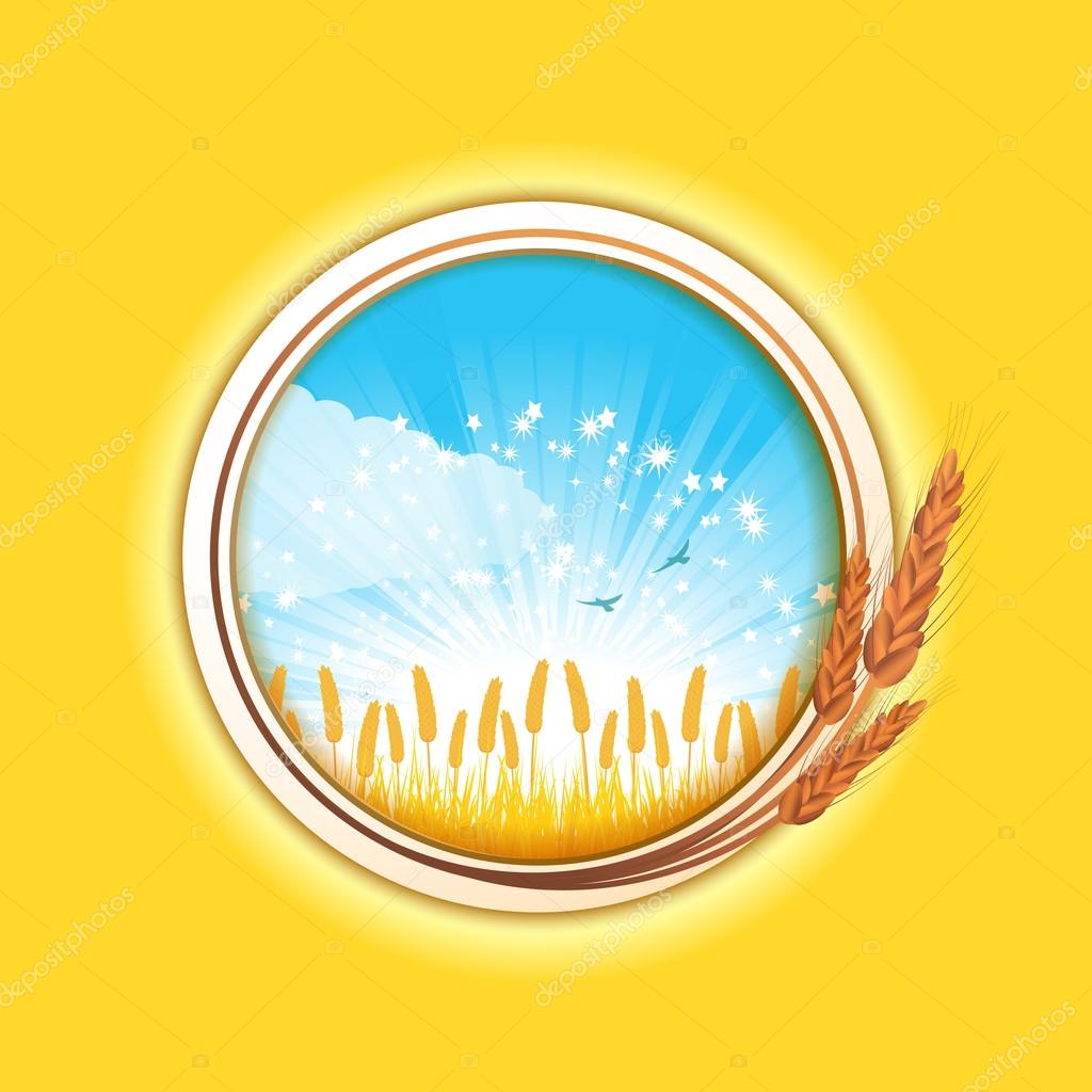 Wheat border and field Stock Vector by ©elaineitalia 77482688