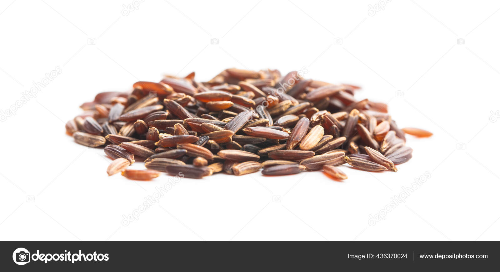 Uncooked Red Rice Raw Wild Rice Isolated White Background — Stock Photo ...