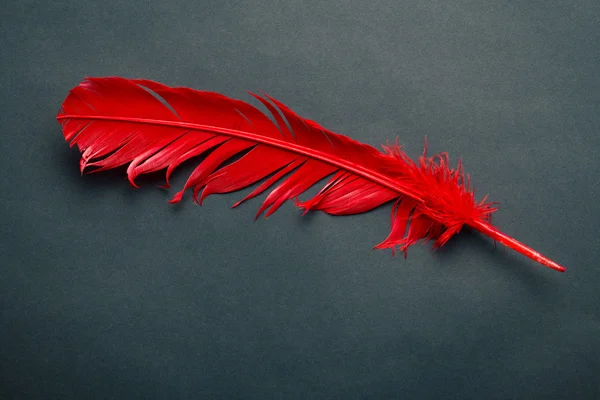 Red feather Stock Photos, Royalty Free Red feather Images | Depositphotos