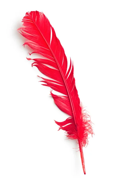 Red feather Stock Photos, Royalty Free Red feather Images | Depositphotos