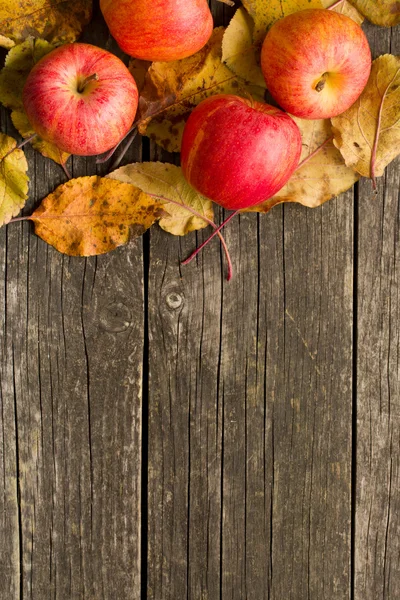 Autumn border from apples and yellow leaves — Stock Photo © Yaruta ...