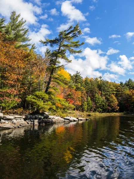 Muskoka landscape Stock Photos, Royalty Free Muskoka landscape Images ...