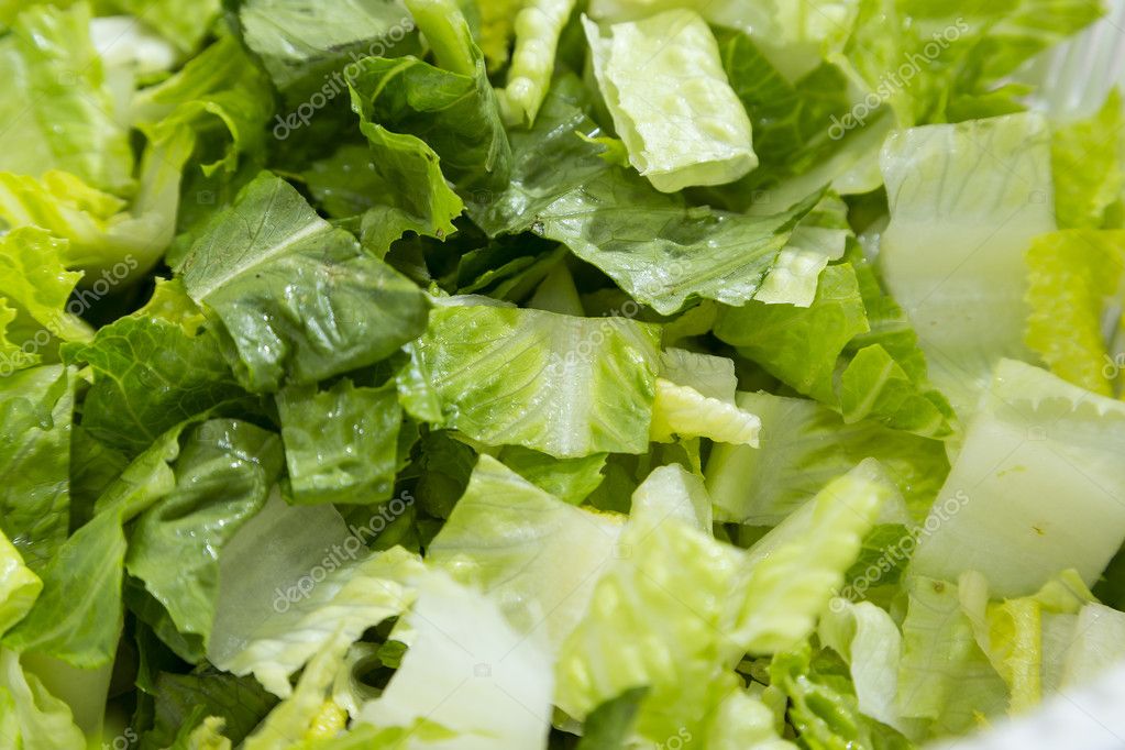 Chopped Romaine Lettuce