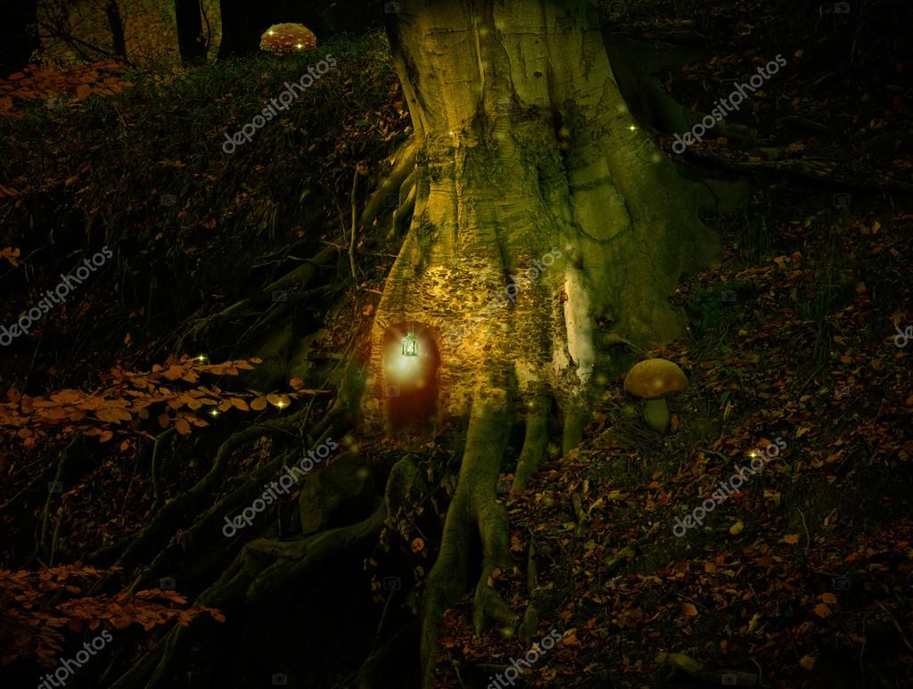 Fairy tale with elf house — Stock Photo © hofhauser #54018197