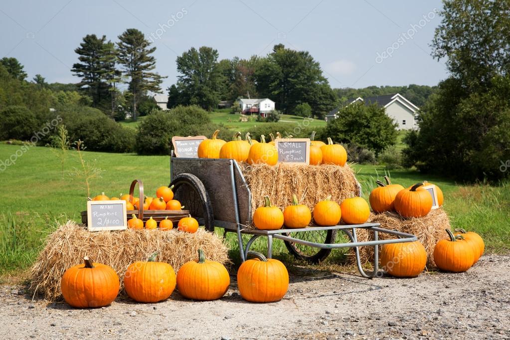 Pumpkins for sale at roadside Stock Photo by ©rixipix 87012942