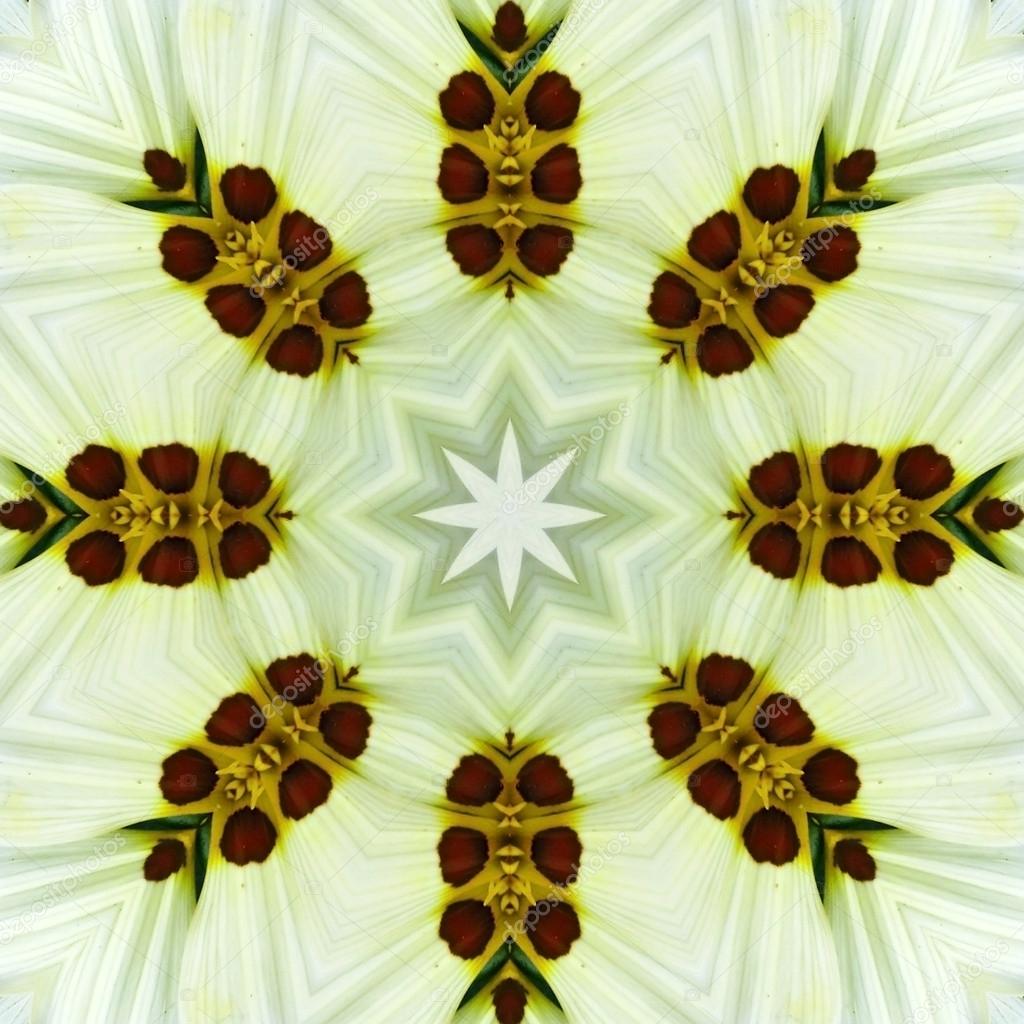 Mandala Kaleidoscopic design. Flower Center Macro Close-up — Stock ...