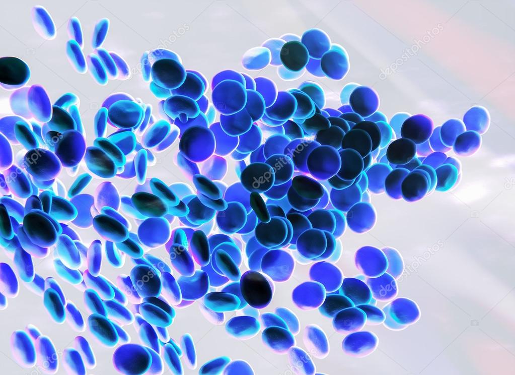 Hematología básica: Sangre