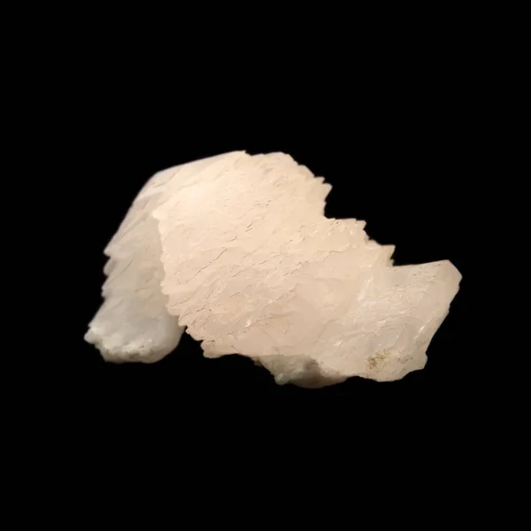 White brain gypsum Stock Photos, Royalty Free White brain gypsum Images ...