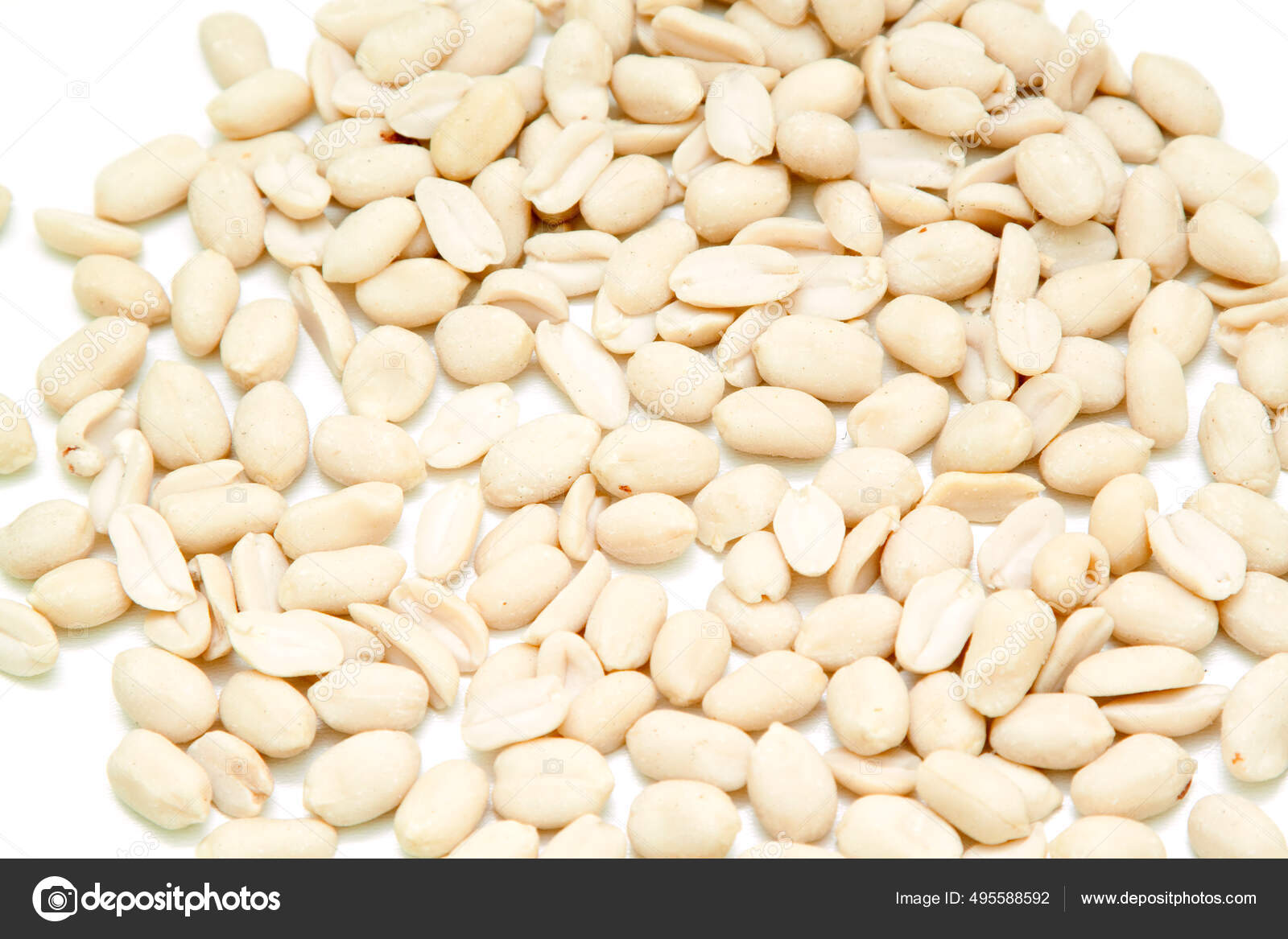Peanuts Isolated White Background — Stock Photo © sbolotova #495588592
