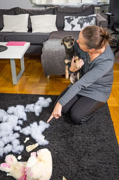 Unacceptable Stock Photos, Royalty Free Unacceptable Images | Depositphotos