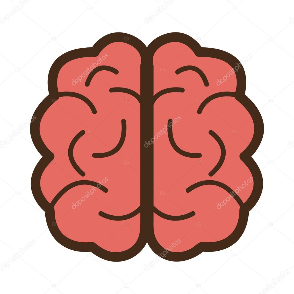 Red brain front view Stock Vector by ©yupiramos 114002370