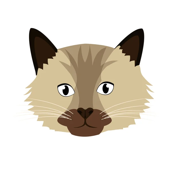 Colorful cat front view,vector graphic Stock Vector Image by ©yupiramos ...