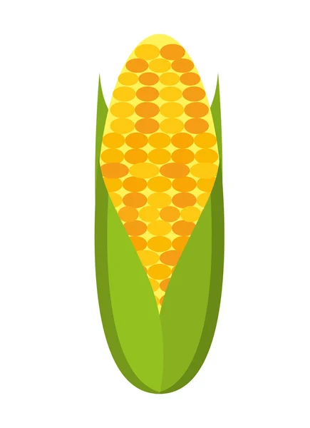 corn cob isolated icon design — Stock Vector © yupiramos #116508344 corn cob isolated icon design — Stock Vector © yupiramos #116508344
