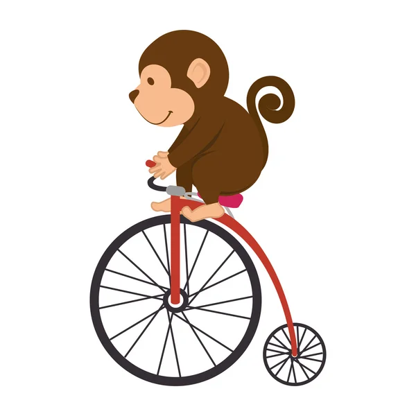 Monkey bicycle Stock Photos, Royalty Free Monkey bicycle Images ...