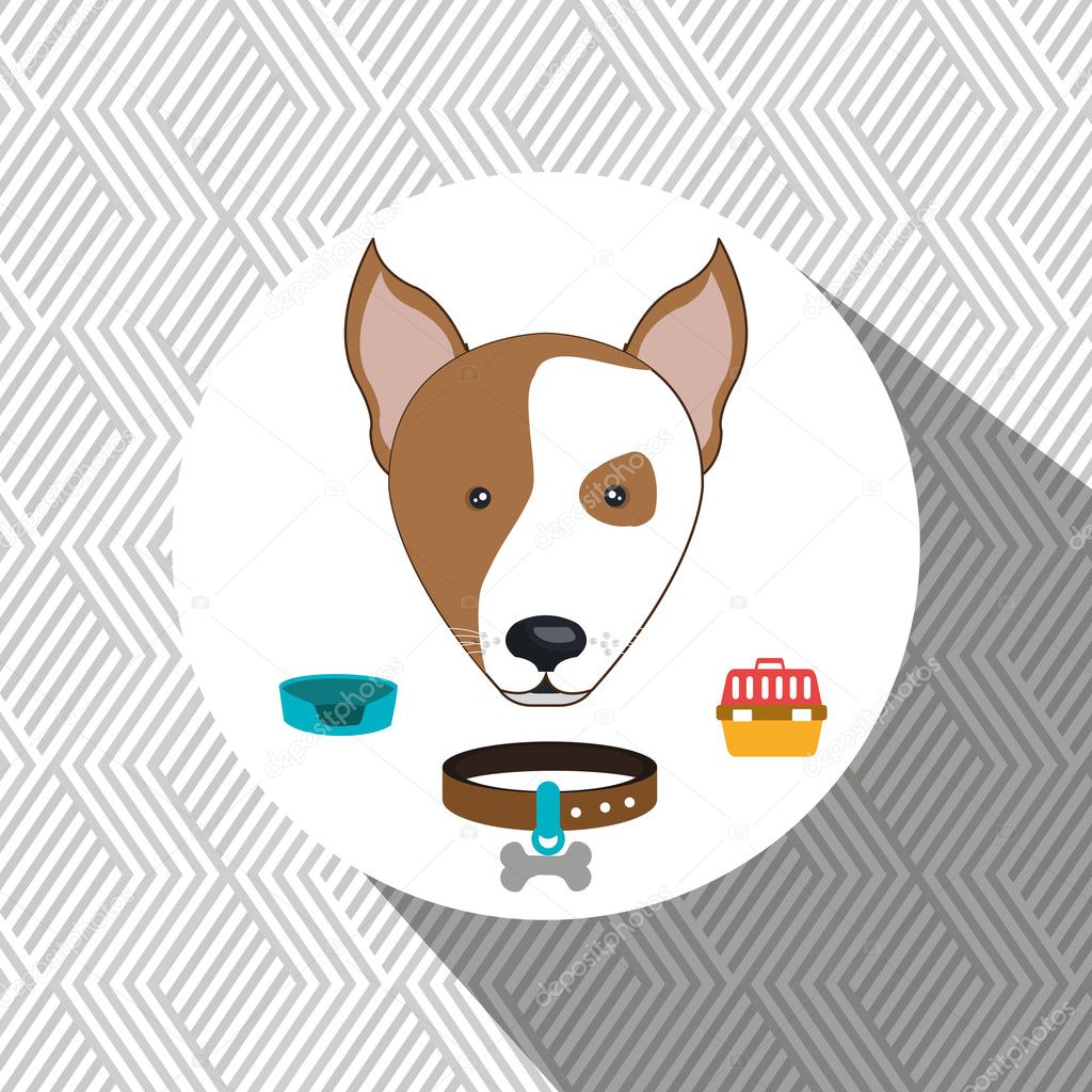 Dog plate collar Stock Vector by ©yupiramos 122114398