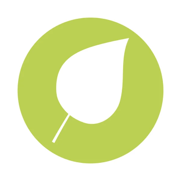 Leaf plant natural sheet Stock Vector Image by ©yupiramos #120787674