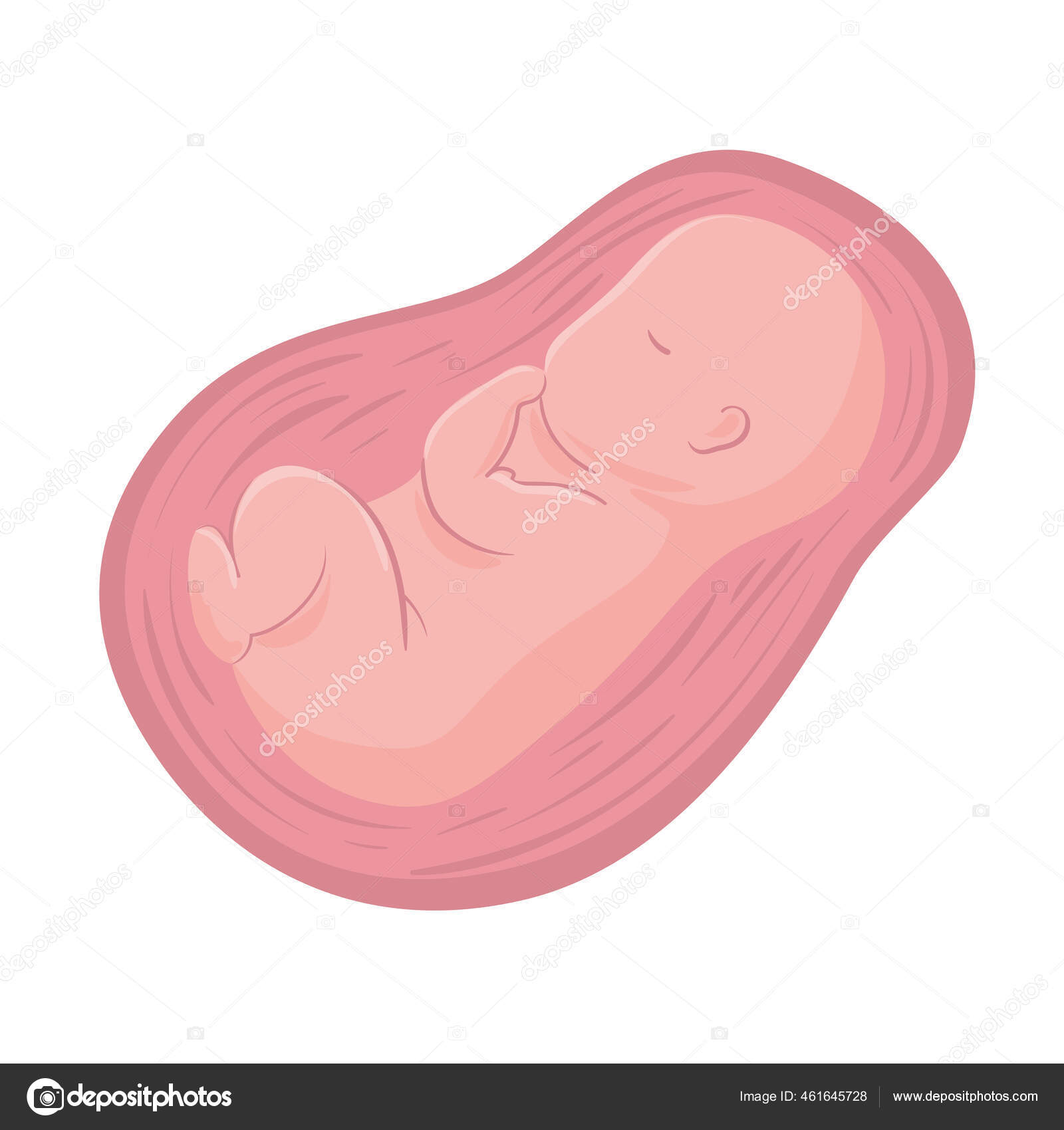 Fetus in placenta Stock Illustration by ©yupiramos #461645728