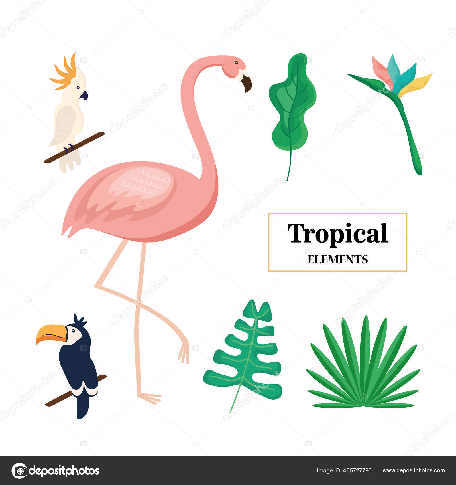 Three tropical animals Stock Vector Image by ©yupiramos #465727790