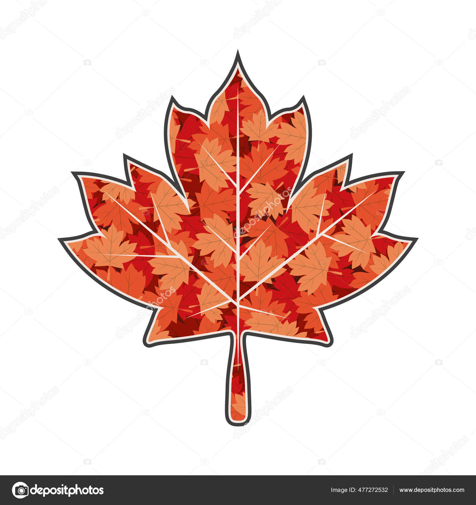 Canadian Maple Leaf Drawing