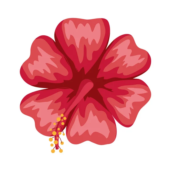 Pink Tropical Flower Nature Icon Stock Vector by ©yupiramos 601799816