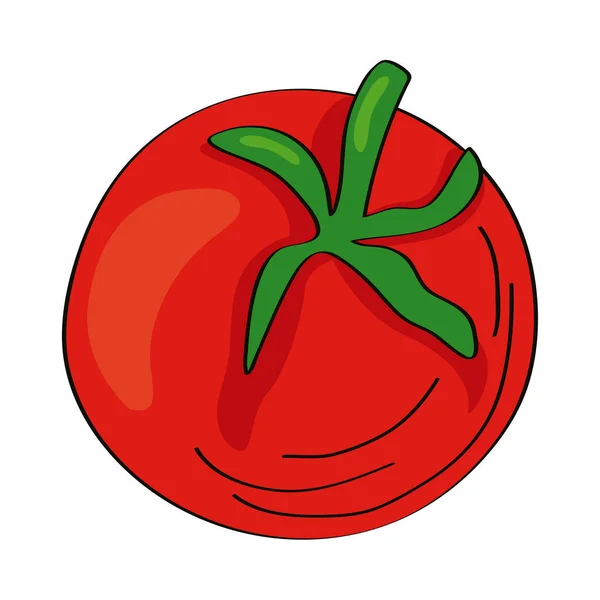100,000 Tomato draw Vector Images | Depositphotos