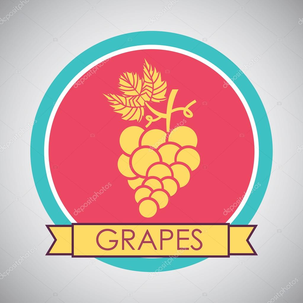 Grapes design Stock Vector by ©yupiramos 53679531