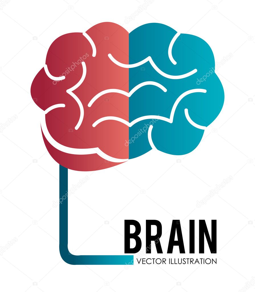 Brain design, vector illustration. Stock Vector by ©yupiramos 64315279