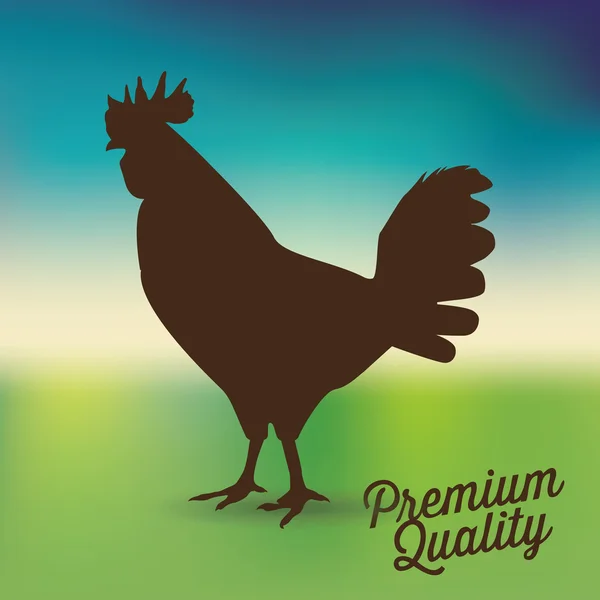 Fresh chicken Stock Vectors, Royalty Free Fresh chicken Illustrations ...
