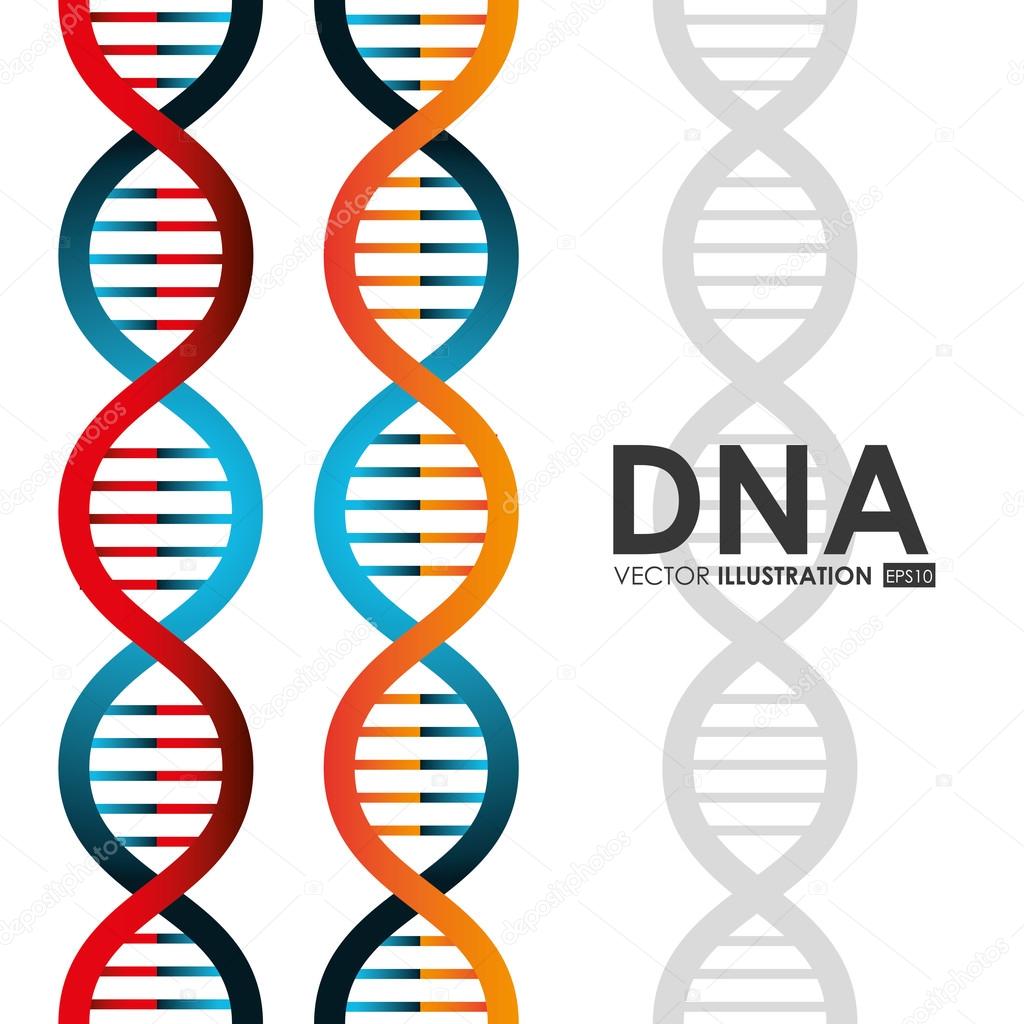 DNA design, vector illustration. Stock Vector Image by ©yupiramos #66844819