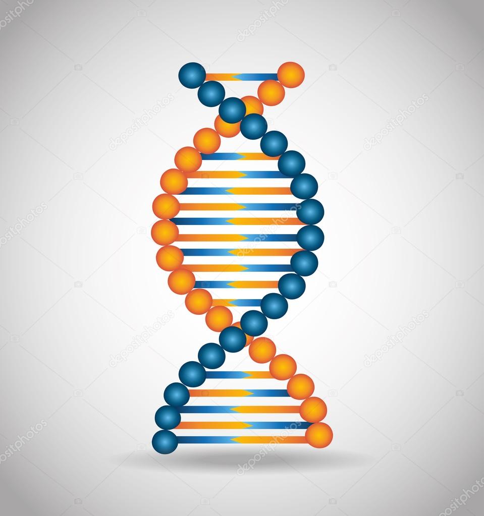 DNA design illustration. Stock Vector Image by ©yupiramos #67013895