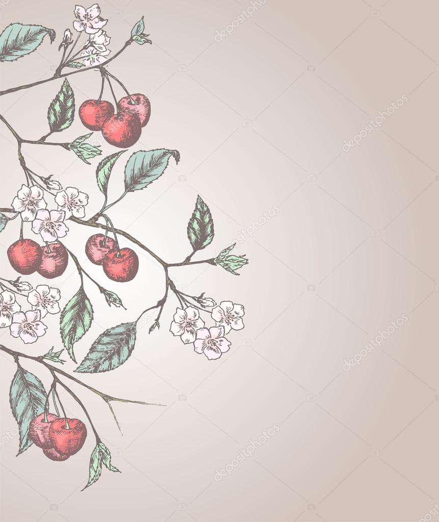 Vintage cherry background Stock Illustration by ©nordfox #73341475