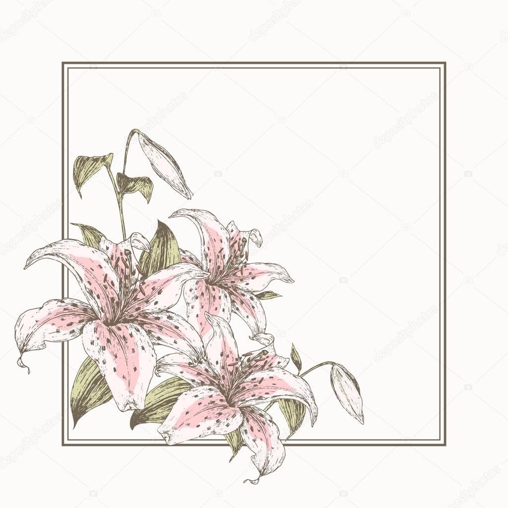 Lily background Stock Vector Image by ©nordfox #80672346