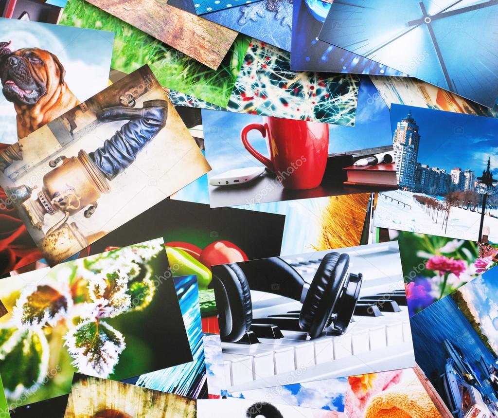 Stack of photos showing nature, animals,objects, music. All photo ...