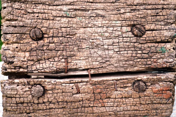 Tree trunk cross section set Stock Photos, Royalty Free Tree trunk ...