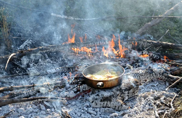 Aboriginal people cooking Stock Photos, Royalty Free Aboriginal people ...
