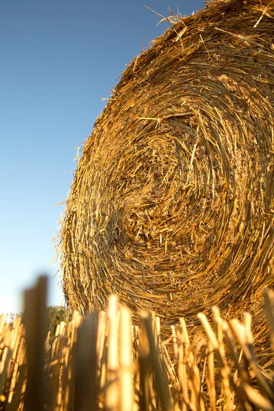 Hay bale background Stock Photos, Royalty Free Hay bale background ...