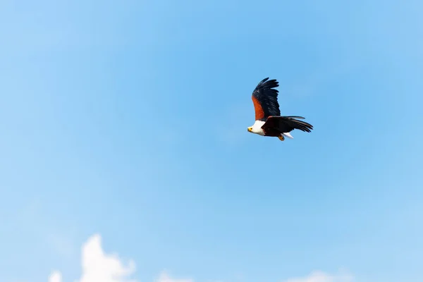 People Being Set Free